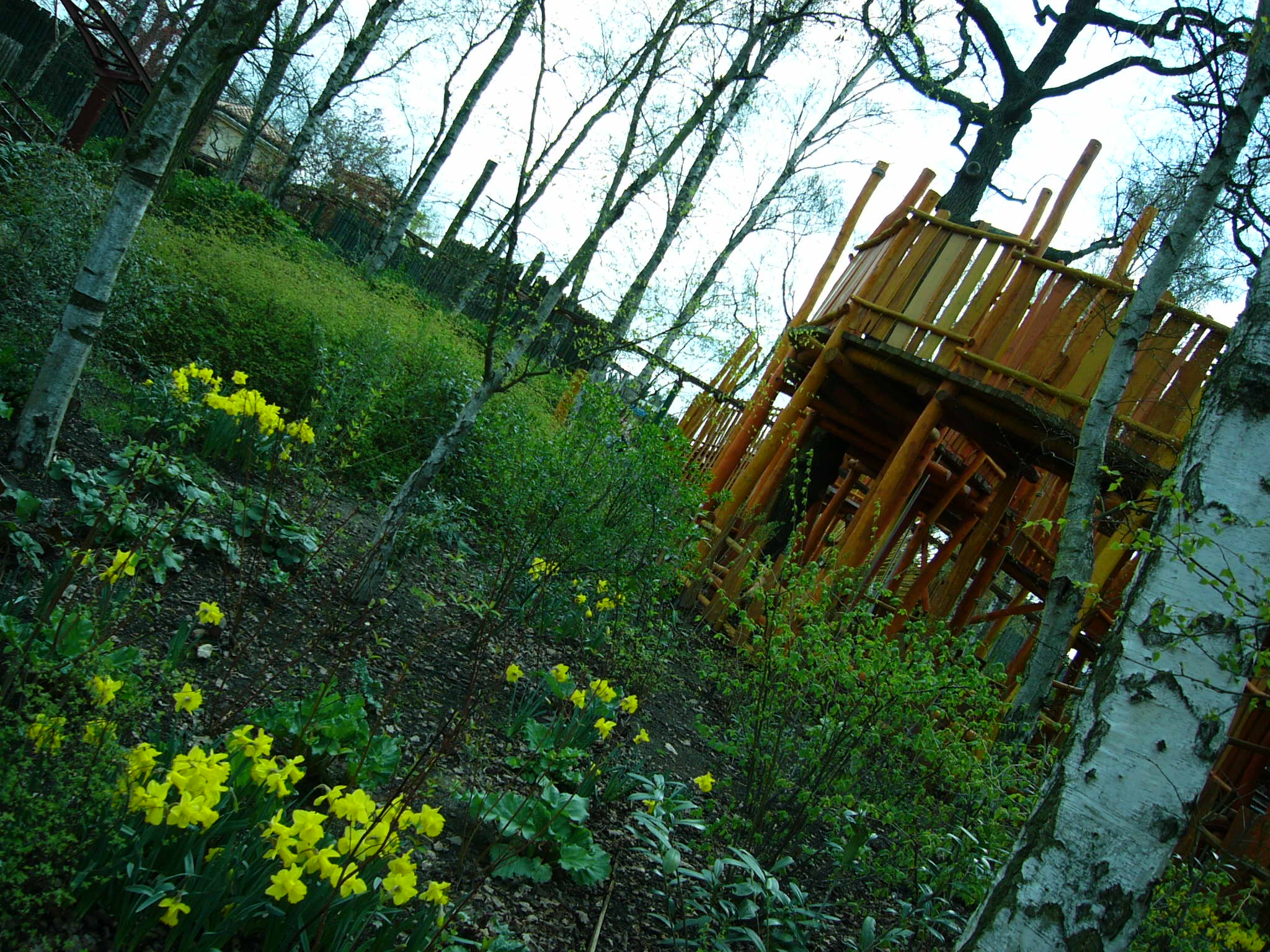 Jirka, Terka, Libanîa, Marek (39/71)