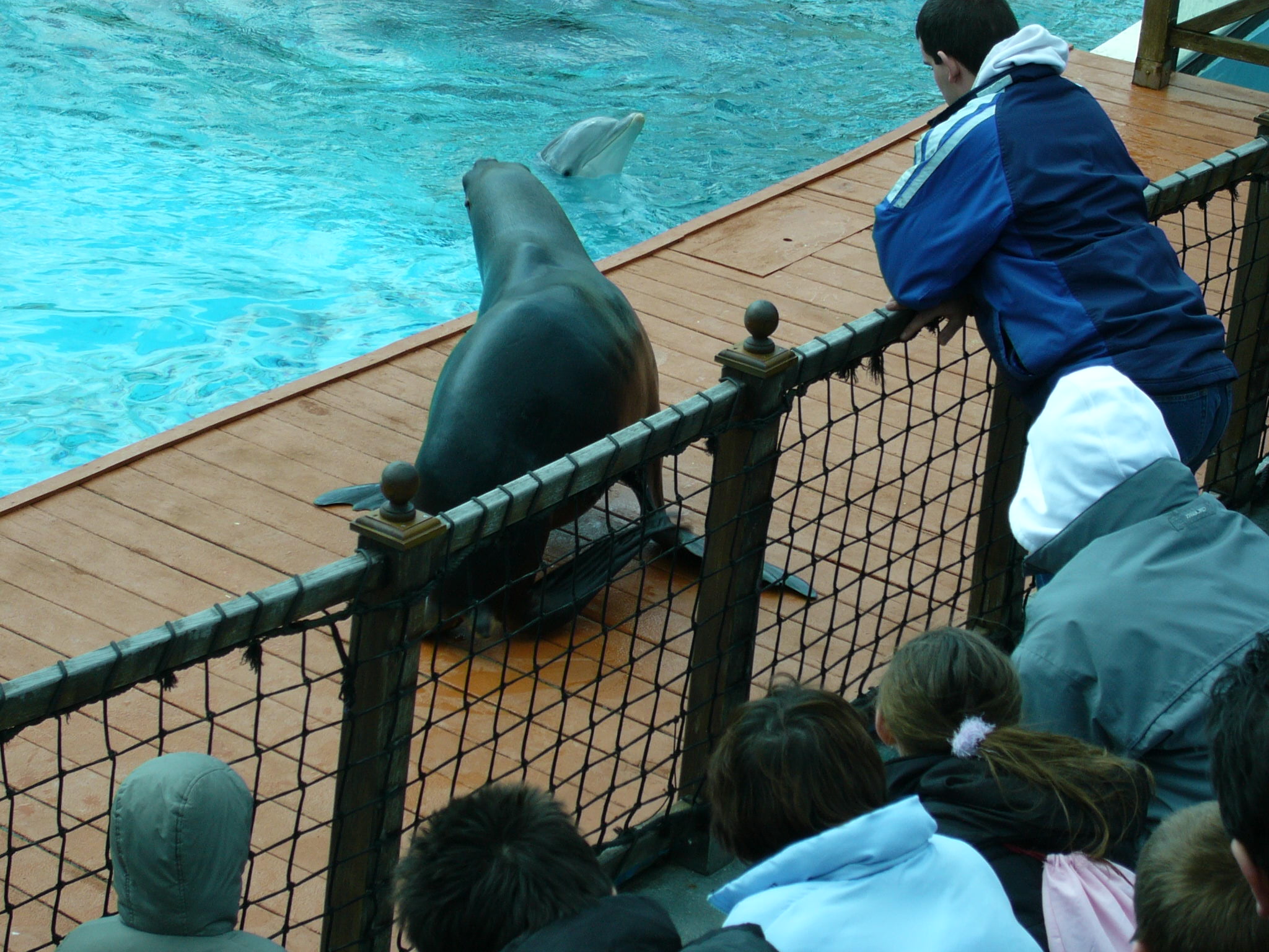 Jirka, Terka, Libanîa, Marek (58/71)