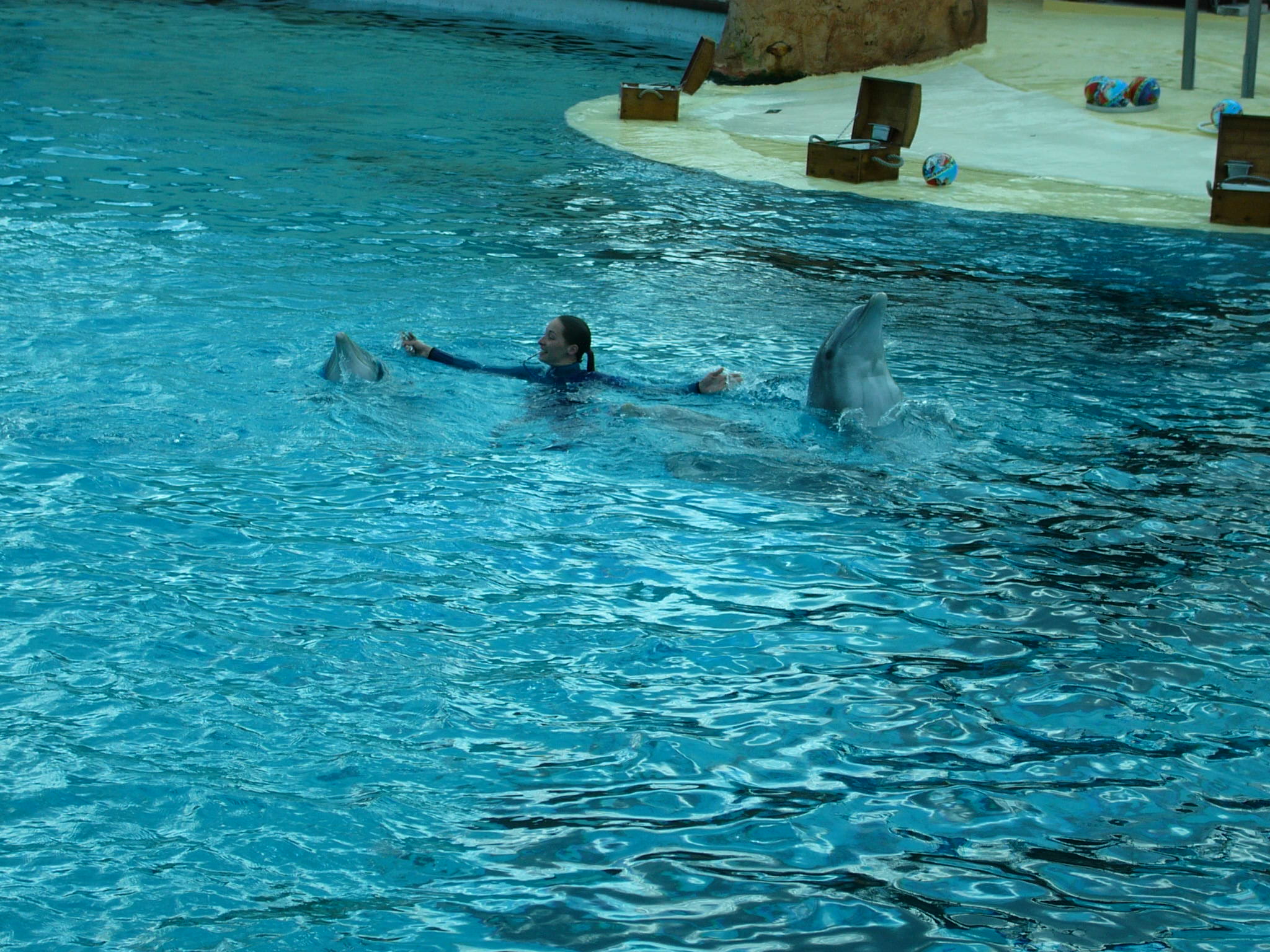 Jirka, Terka, Libanîa, Marek (63/71)