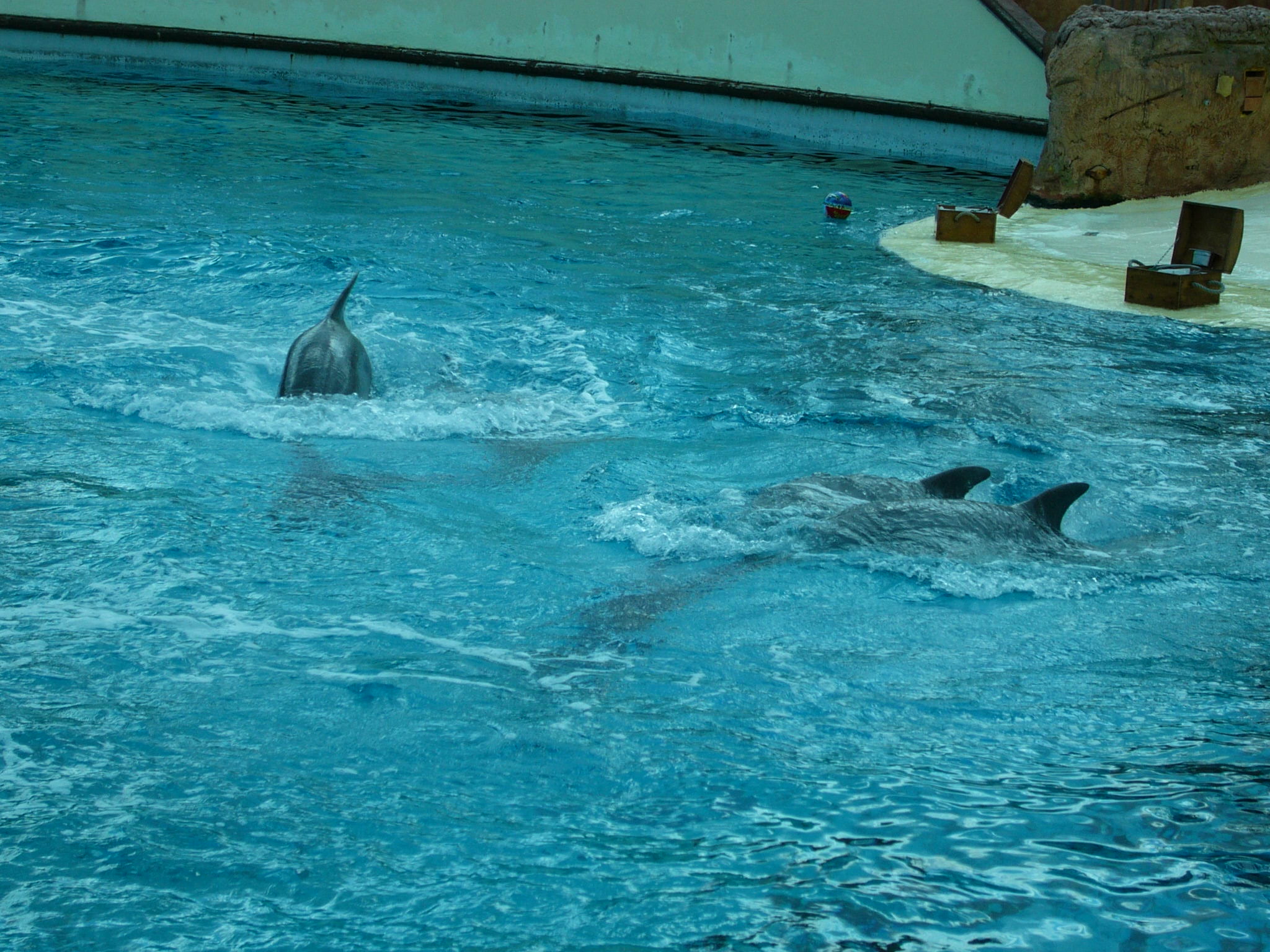 Jirka, Terka, Libanîa, Marek (64/71)