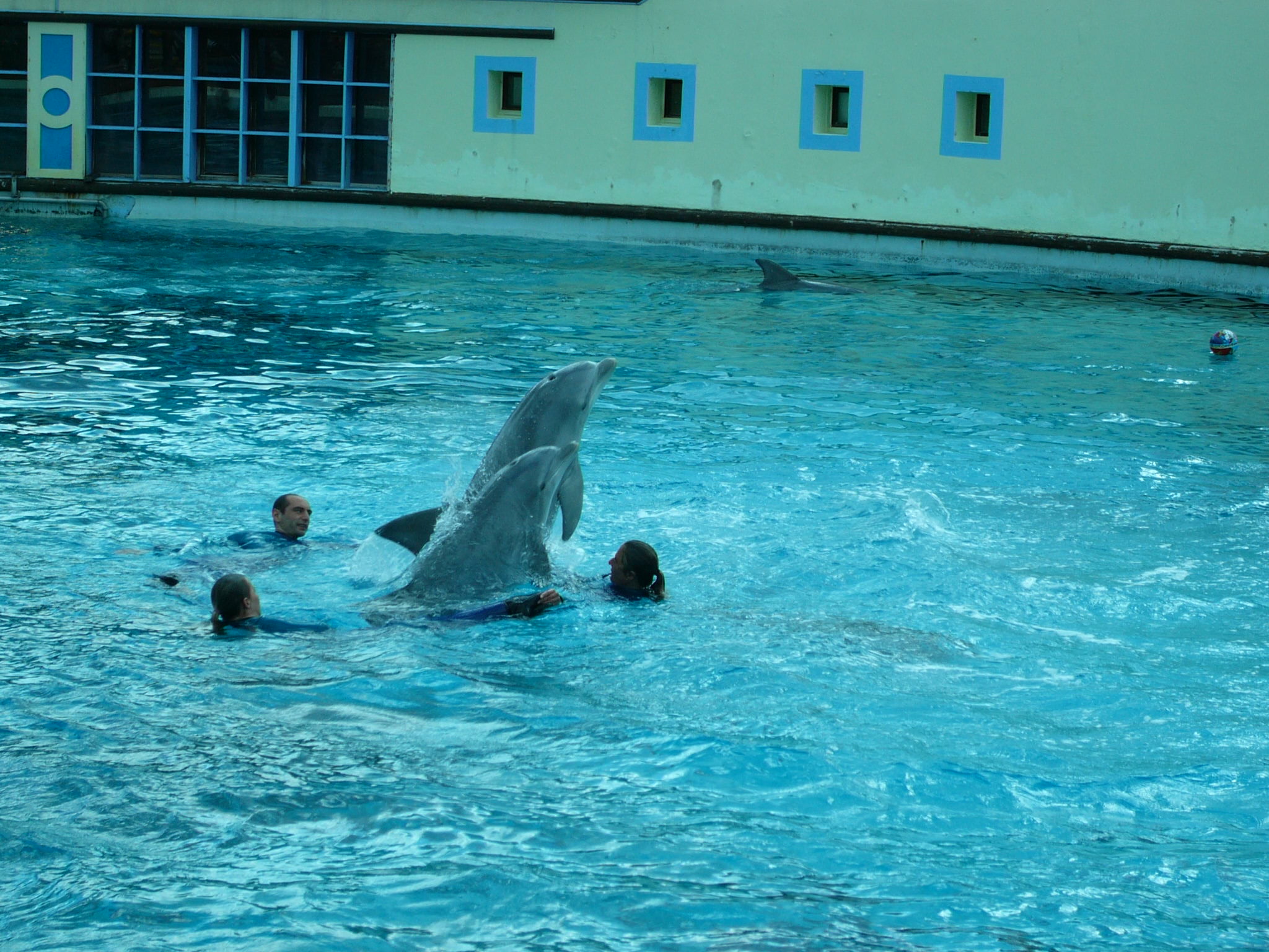 Jirka, Terka, Libanîa, Marek (65/71)